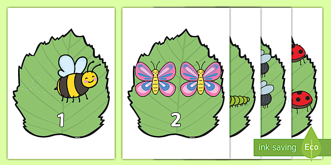 Numbers 0-30 Minibeasts (teacher made) - Twinkl