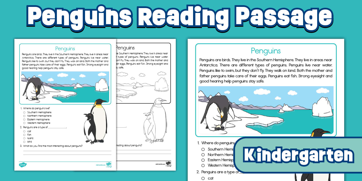 Kindergarten Penguins Reading Comprehension | Twinkl USA