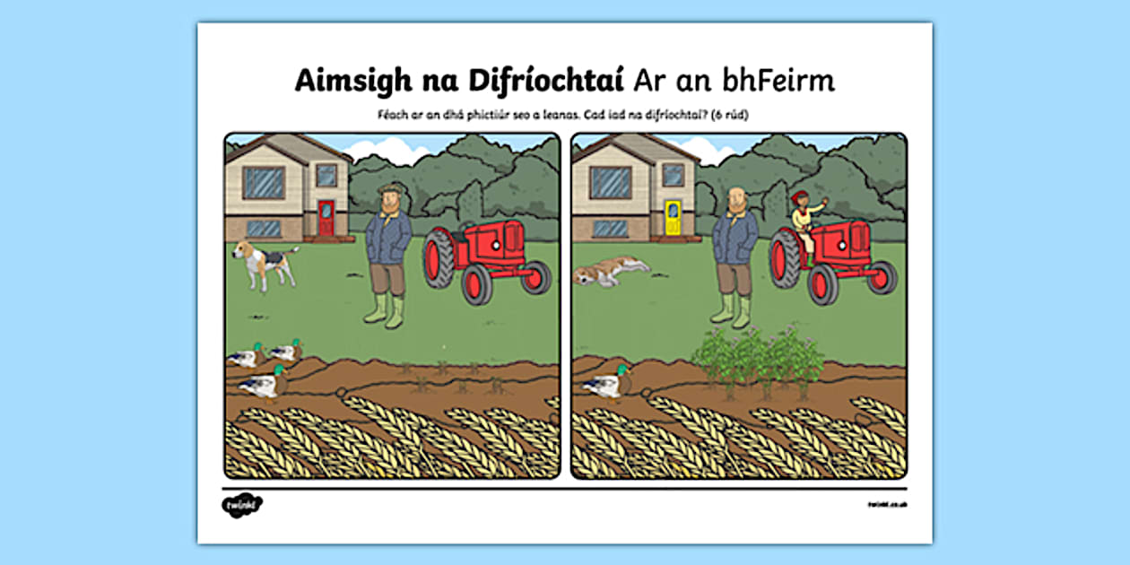 Ar an bhFeirm, Aimsigh na Difríochtaí Worksheet / Worksheet