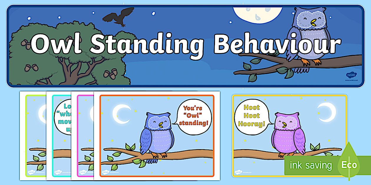 Editable Owl standing Behaviour Display - Twinkl