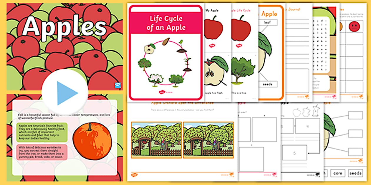 Life Cycle of an Apple Activity Pack - Fall Teaching Resource