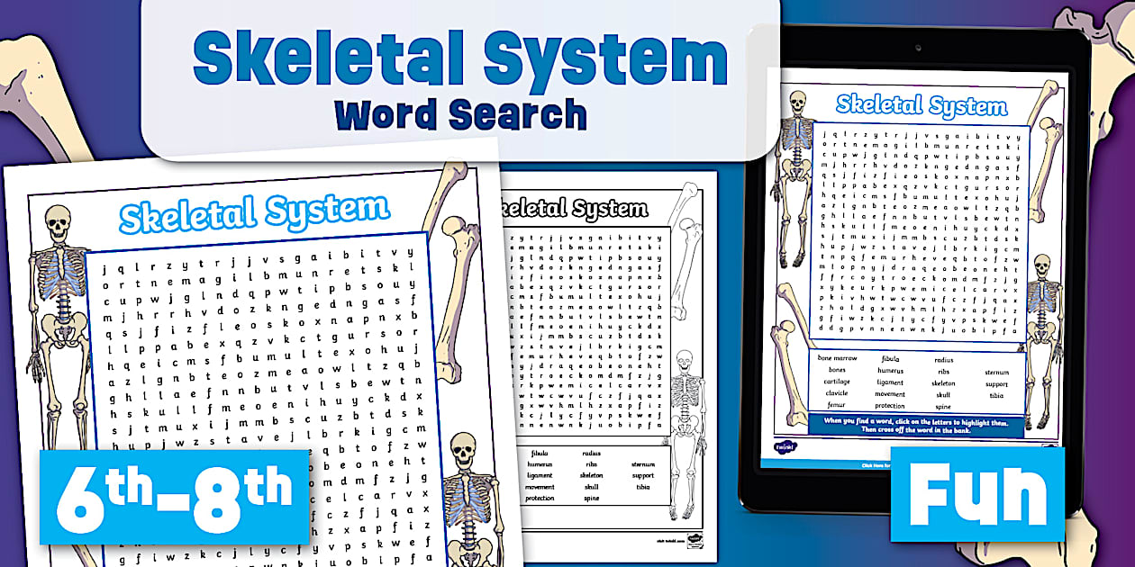 Skeletal System Word Search for 6th-8th Grade - Twinkl