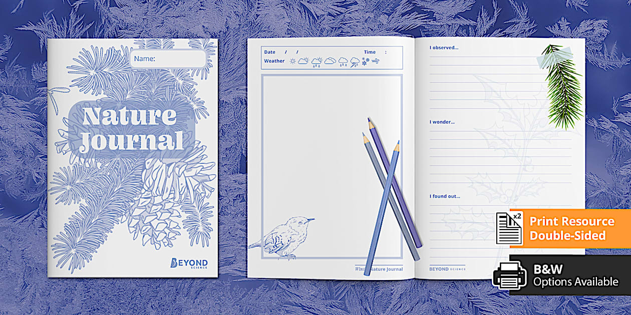 Winter Nature Journal | Science | Beyond Secondary - Twinkl
