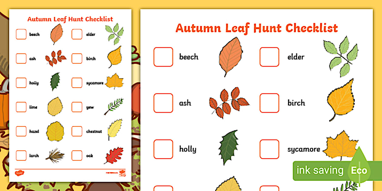 Autumn Leaf Hunt Checklist (teacher made) - Twinkl