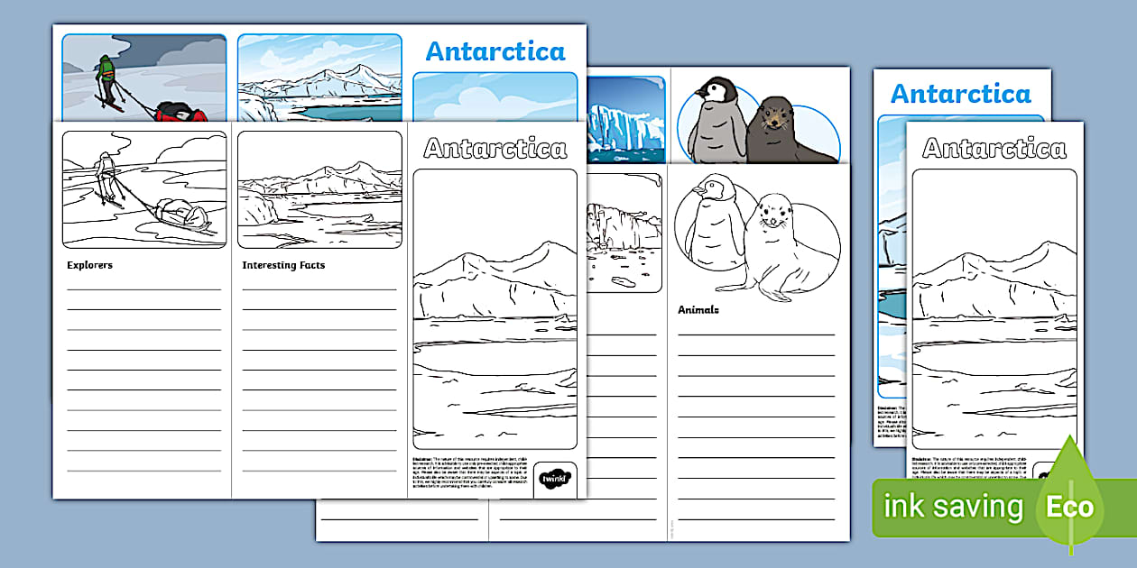 Antarctica Leaflet Template (teacher made) - Twinkl
