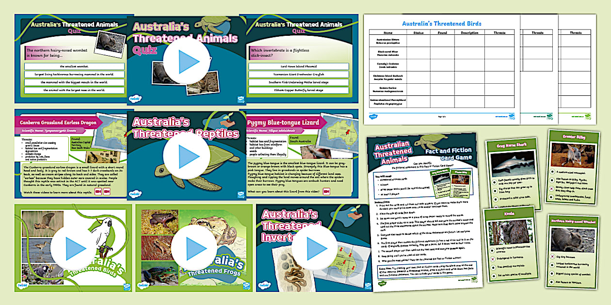 Australian Threatened Species 3-6 Pack (teacher made)