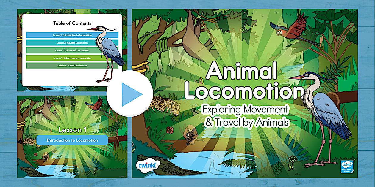 Animal Locomotion PowerPoint (teacher made) - Twinkl