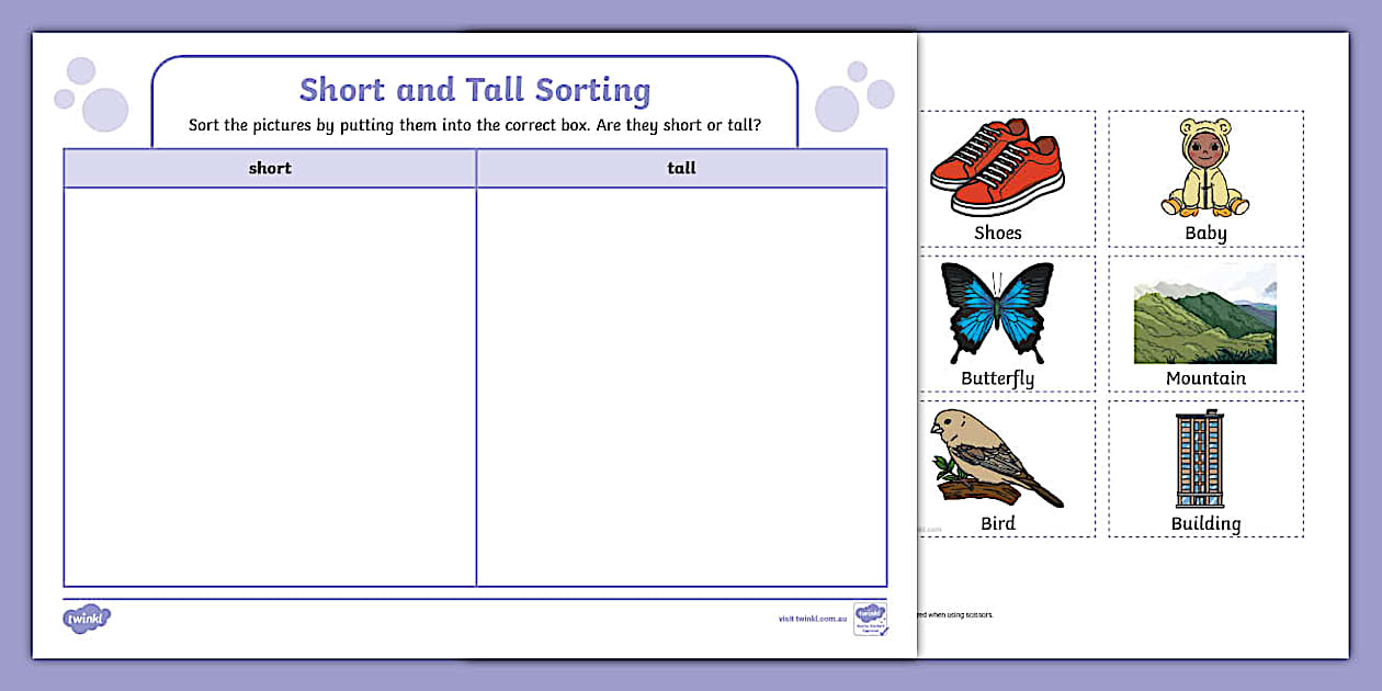Short and Tall Sorting Activity (teacher made) - Twinkl