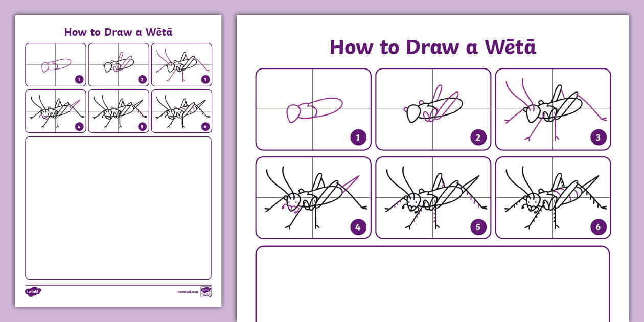 How to Draw a Wētā (teacher made) - Twinkl
