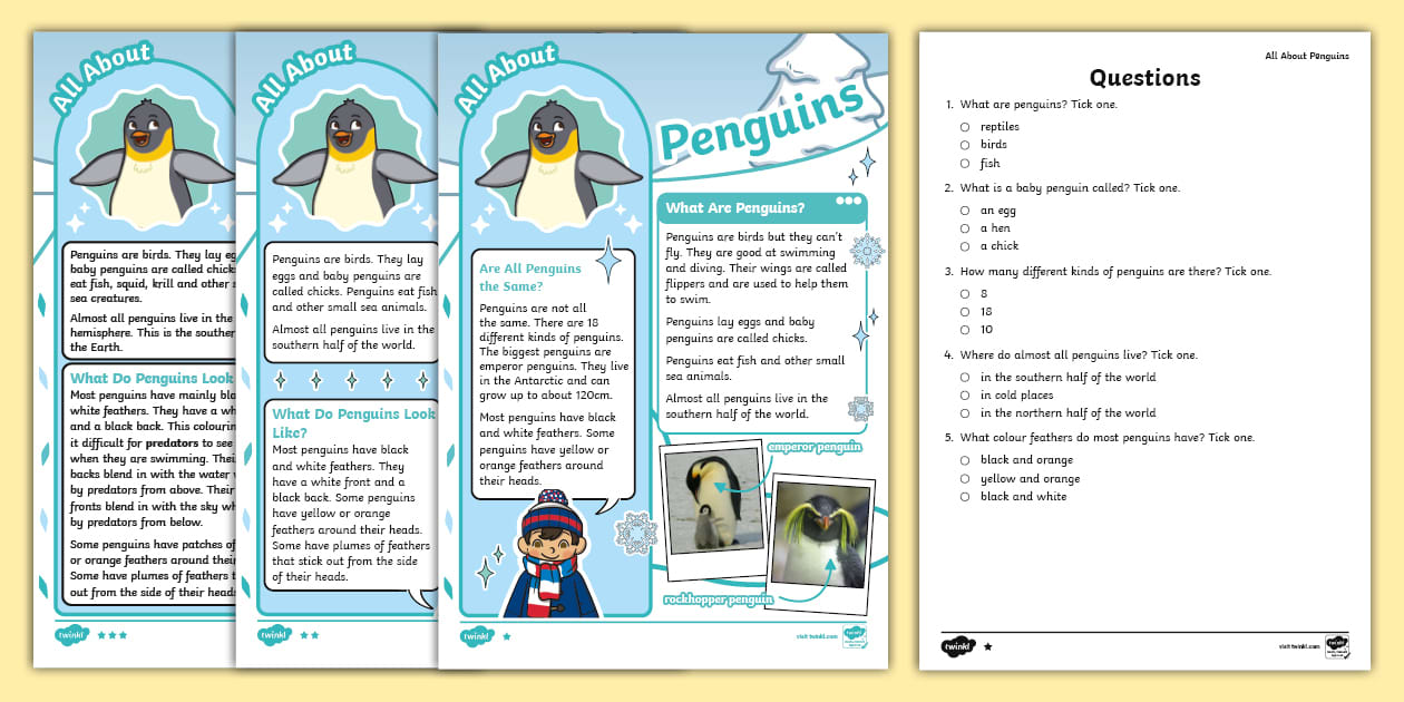 KS1 All About Penguins Differentiated Reading Comprehension