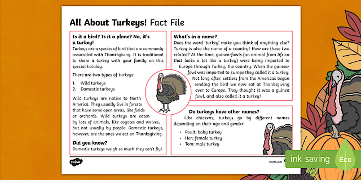 Turkey Fact File | Canadian Thanksgiving (teacher made)