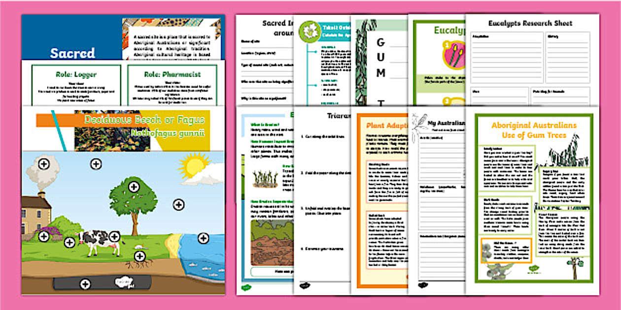 Trees Upper Primary Resource Pack - Twinkl