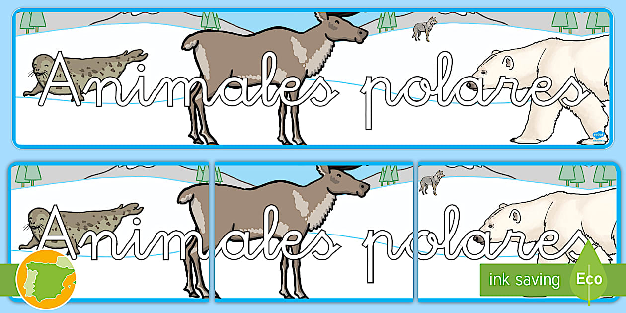 Animales polares Pancarta - Twinkl
