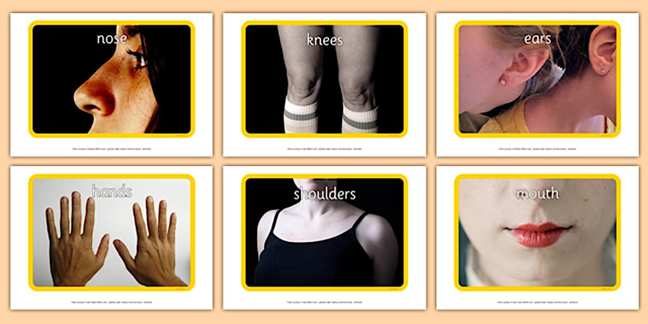 Cursive My Body Display Photos (teacher made) - Twinkl