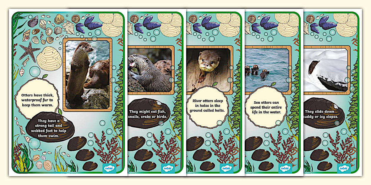 Otter Fact Display Posters - KS1 - Twinkl - Animals - Twinkl