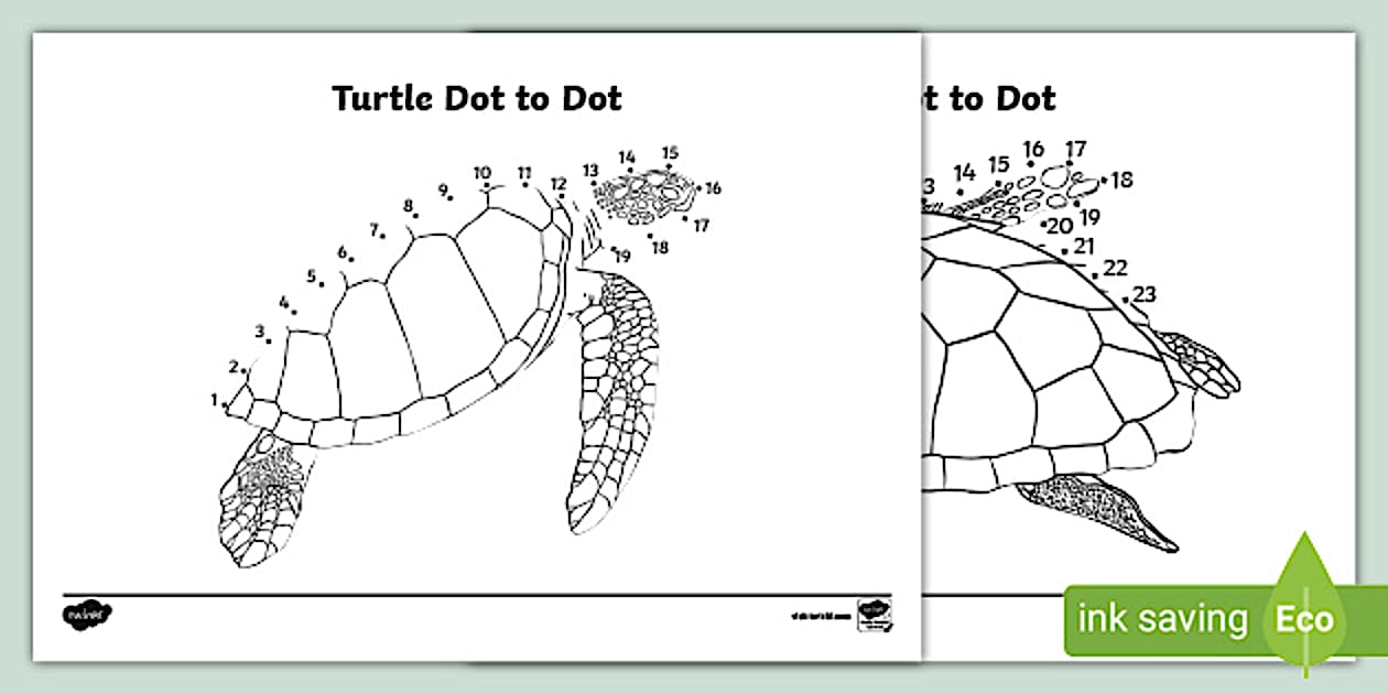 Turtle Dot to Dot Activity - Resources - Activities - Twinkl