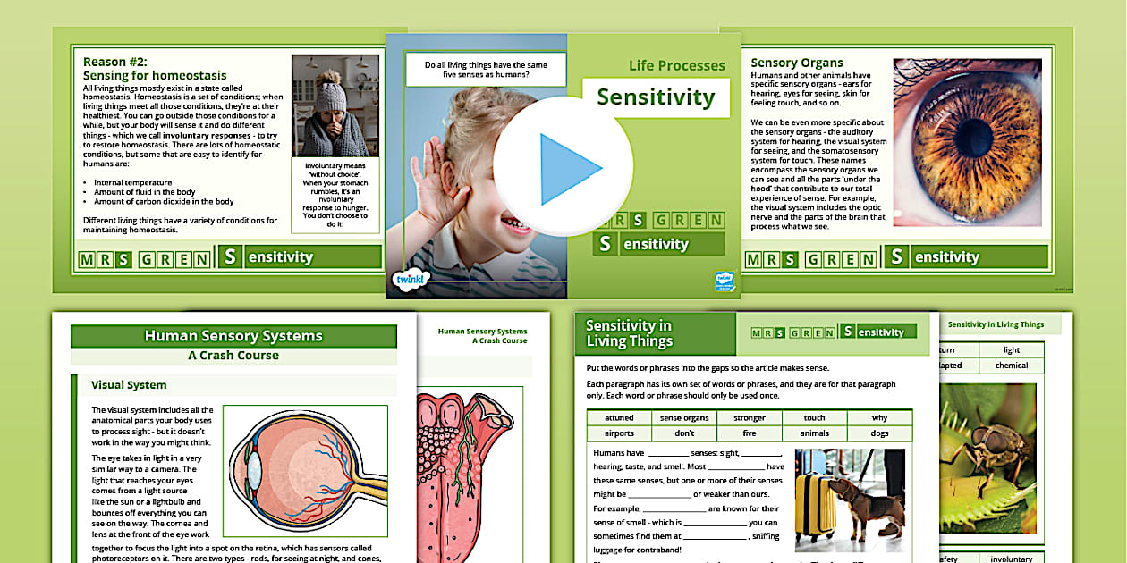 Year 7-8 Life Processes - Sensitivity Pack