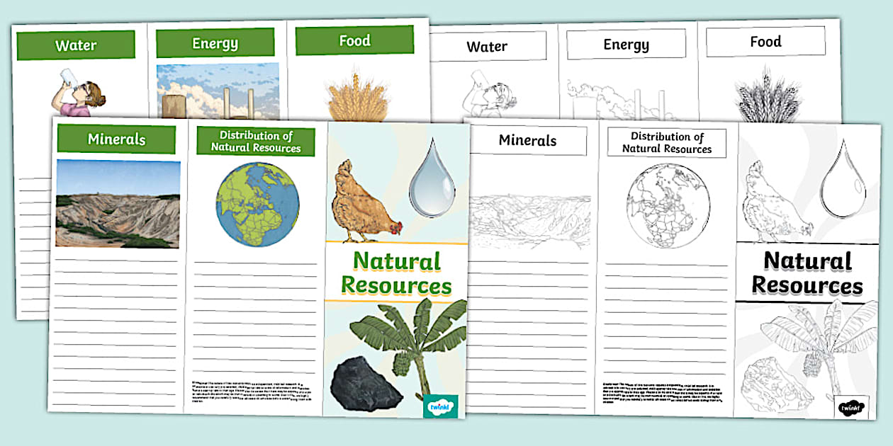 Natural Resources Leaflet Template (teacher made) - Twinkl