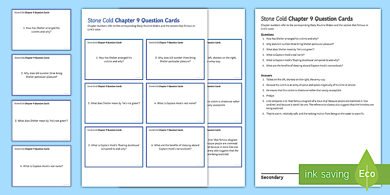 Chapter 9 Question Cards to Support Teaching on 'Stone Cold' by Robert