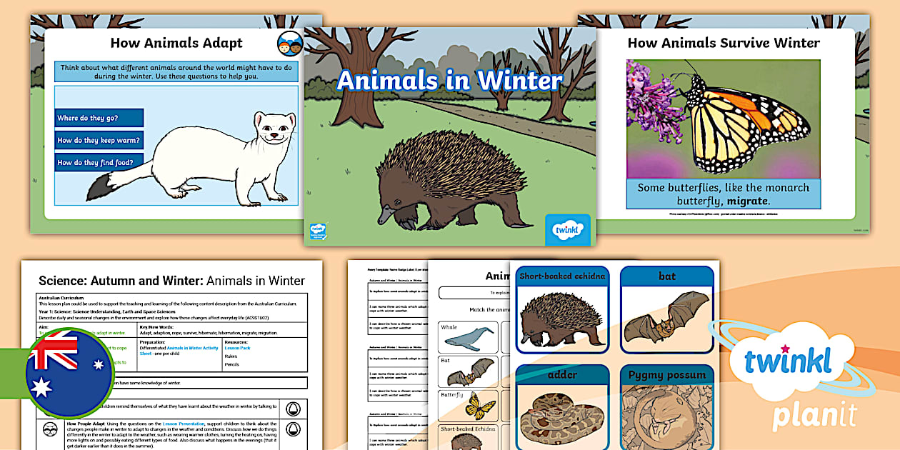 Year 1 Science Autumn and Winter Lesson 6 Animals in Winter