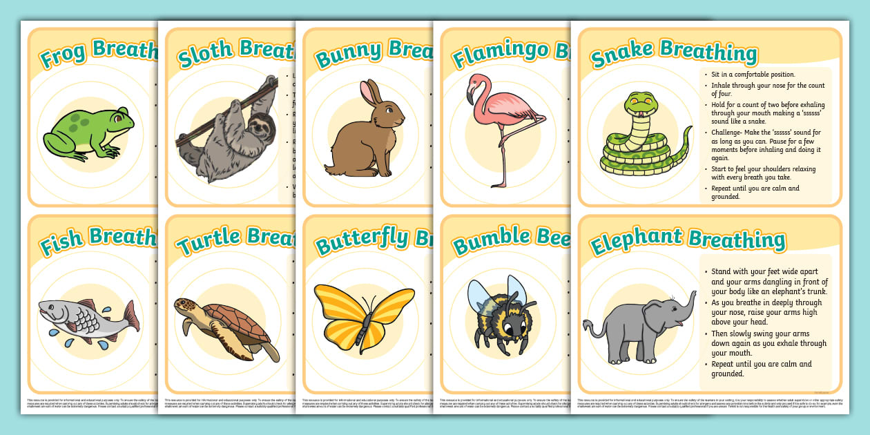 Animal Mindfulness Breathing Flashcards (teacher made)