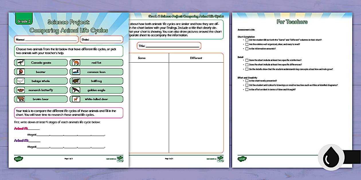 Life Cycles of Canadian Animals Project - Twinkl