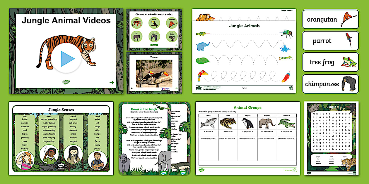 Jungle KS1 Lesson Plan Ideas and Resource Pack - Twinkl