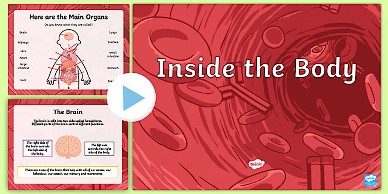 KS2 PowerPoint Inside the Human Body for Children - Twinkl