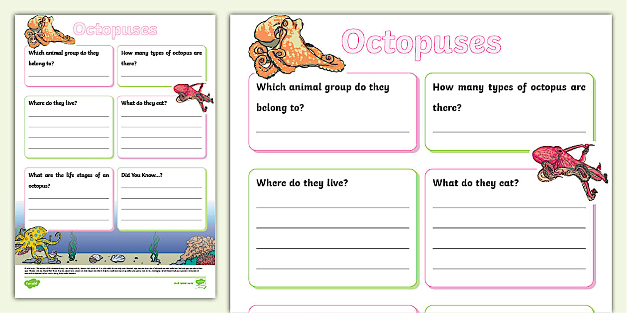 Octopuses Fact File Template (teacher made) - Twinkl
