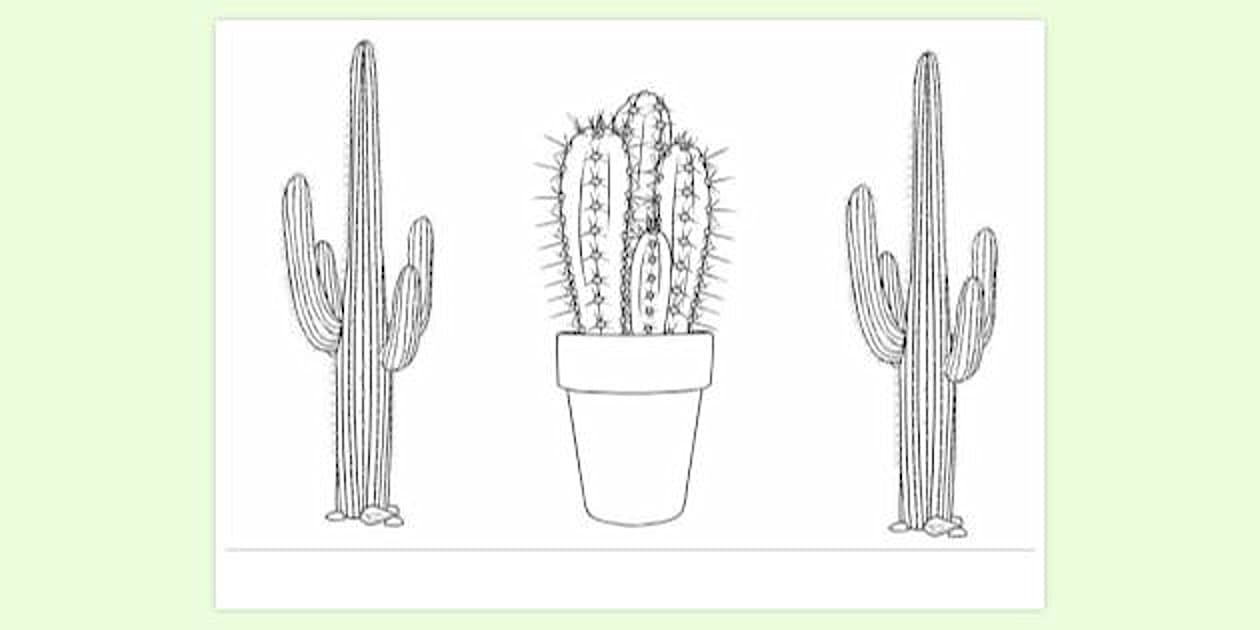 Cactus Colouring | Colouring Sheets (teacher made) - Twinkl
