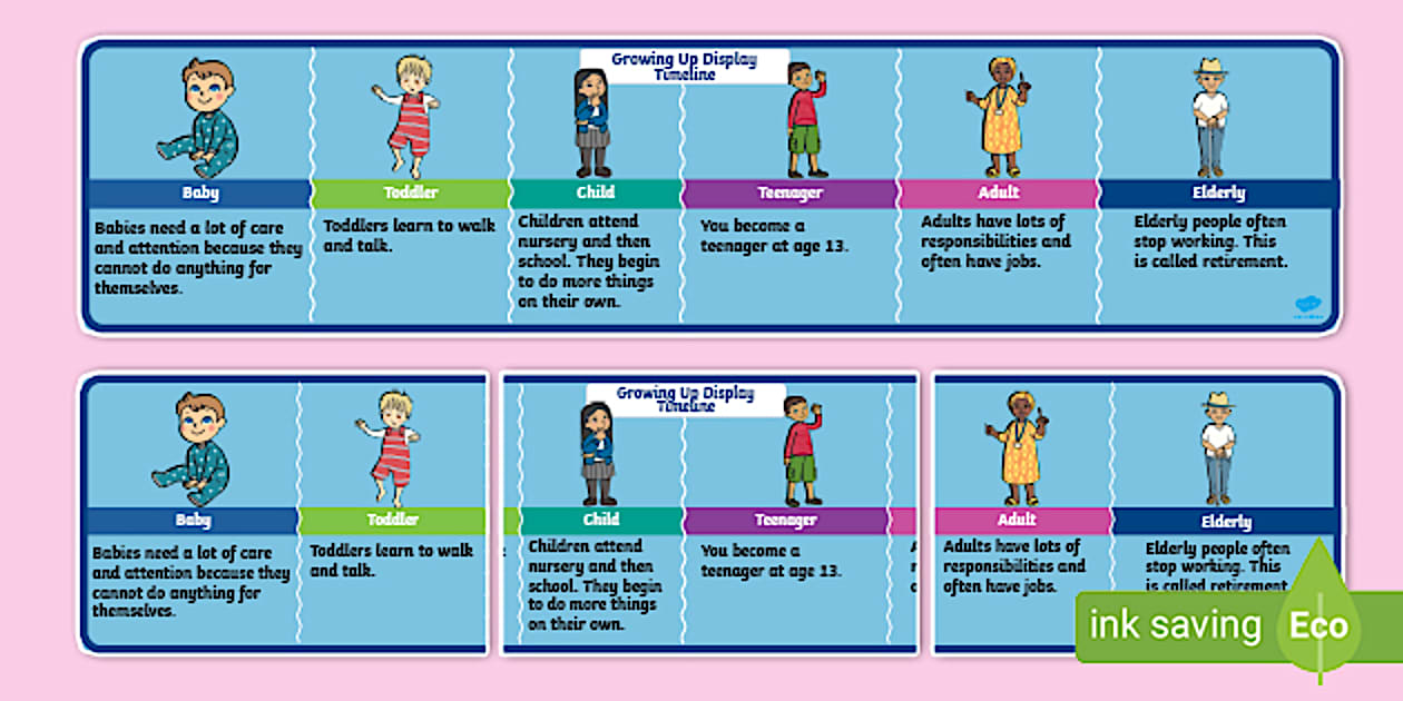 Timeline of Growing Up - Classroom Display Poster - Twinkl