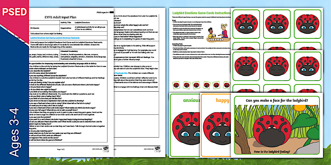 EYFS Ladybird Emotions Adult Input Plan and Pack (Ages 3-4)