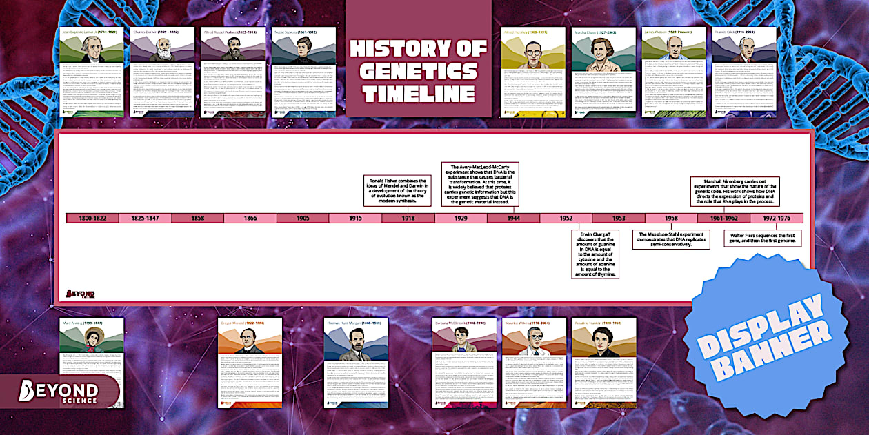 History of Genetics Influential Scientists Display | Beyond