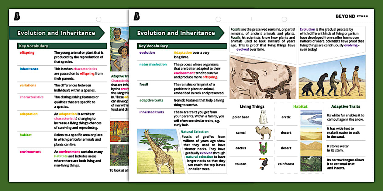 Science Knowledge Organiser Evolution and Inheritance