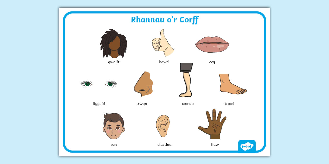 Editable Welsh Parts of the Body Word Mat - Twinkl