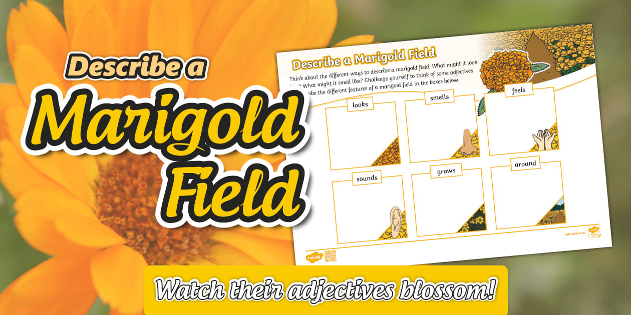 Marigold Adjectives Worksheet
