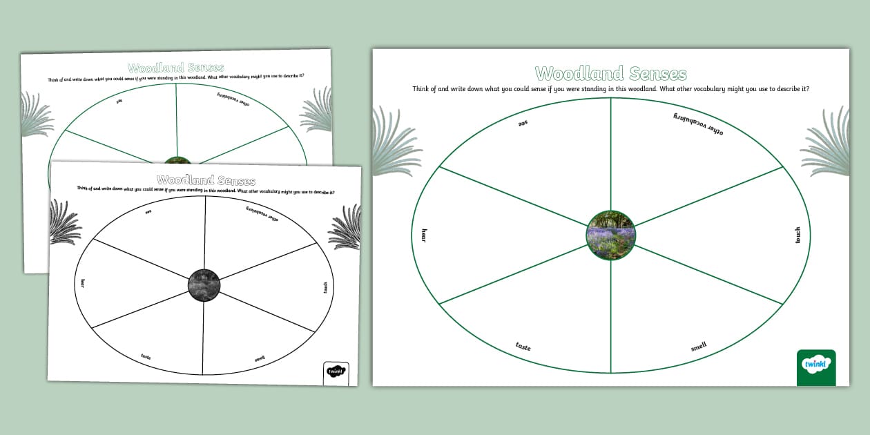 Woodland Senses Around the Table (Teacher-Made) - Twinkl