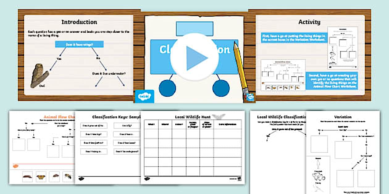KS2 Classification Keys PowerPoint Teaching Pack - Twinkl