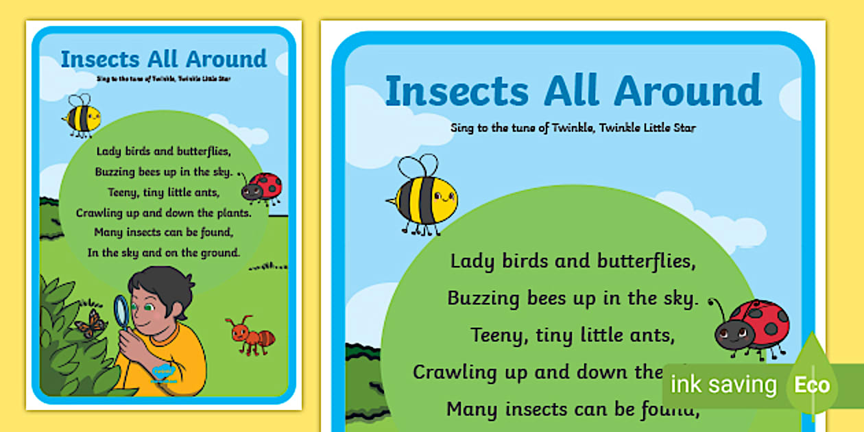Insects Poster Poem | Teaching Resources (teacher made)