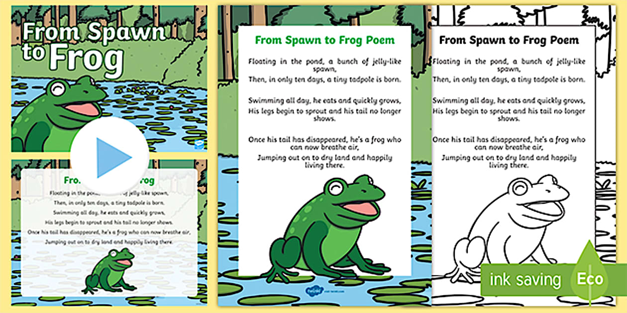 Tadpole Poem Pack | Frog Poem for Children | English