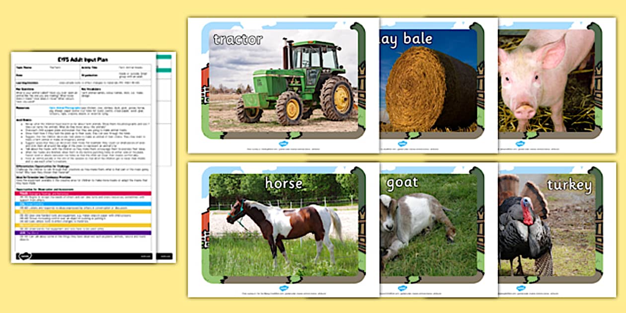 Black and White Farm Animal Masks EYFS Adult Input Plan and Resource Pack