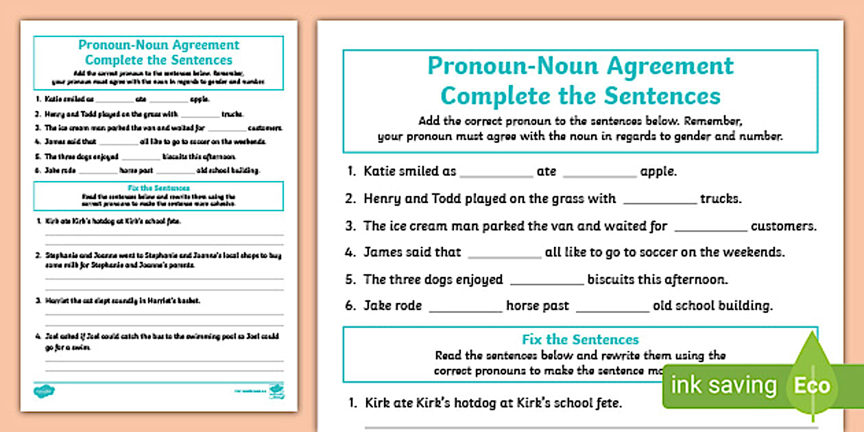 Complete the Sentences - Pronoun-Noun Agreement Worksheet