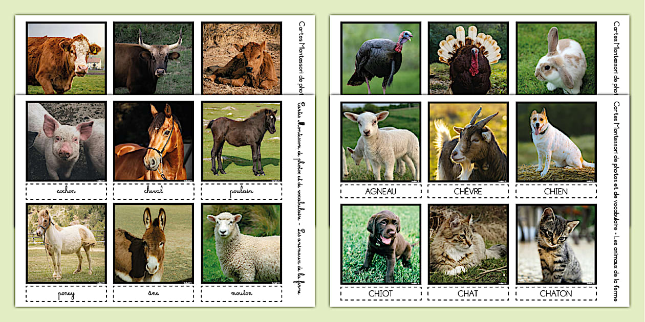 Cartes de photos et de vocabulaire Montessori - animaux de la ferme