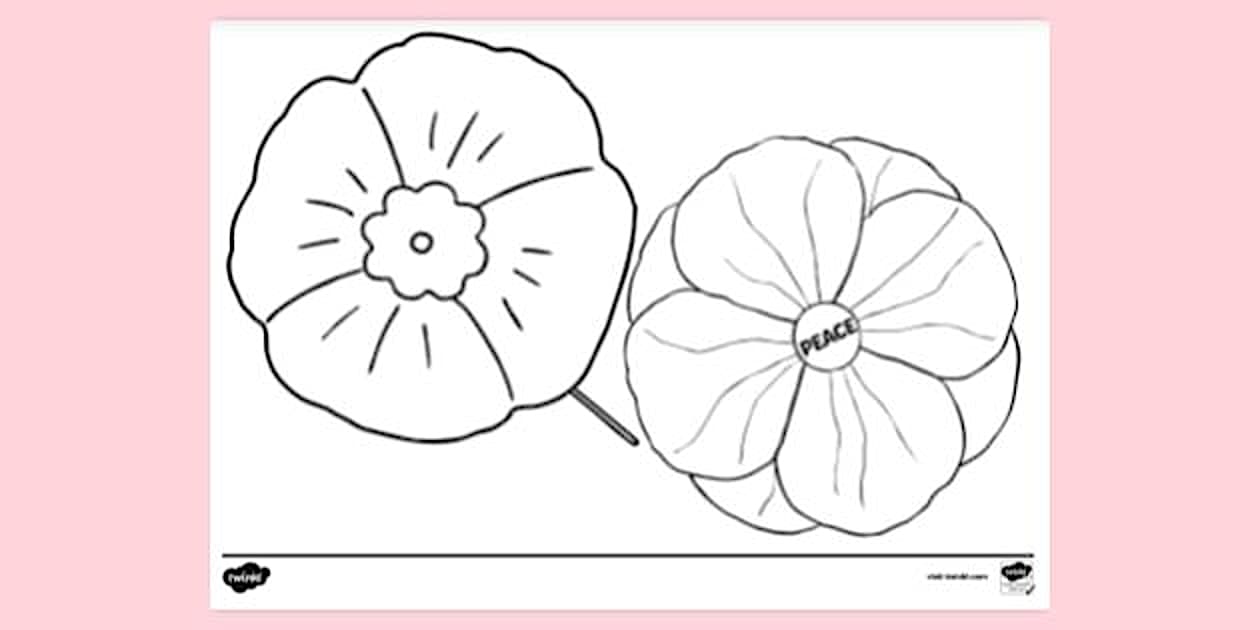 Poppies Colouring Sheet | Colouring Sheets (teacher made)