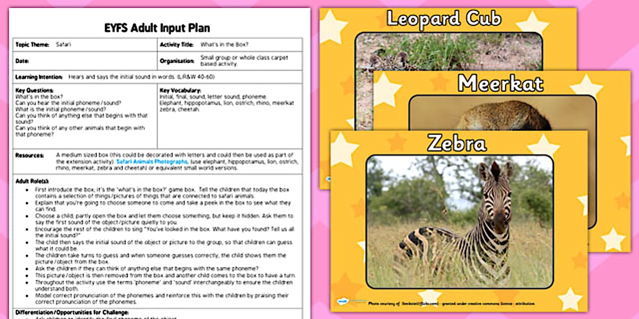 Black and White Safari Themed What's in the Box EYFS Adult Input Plan and