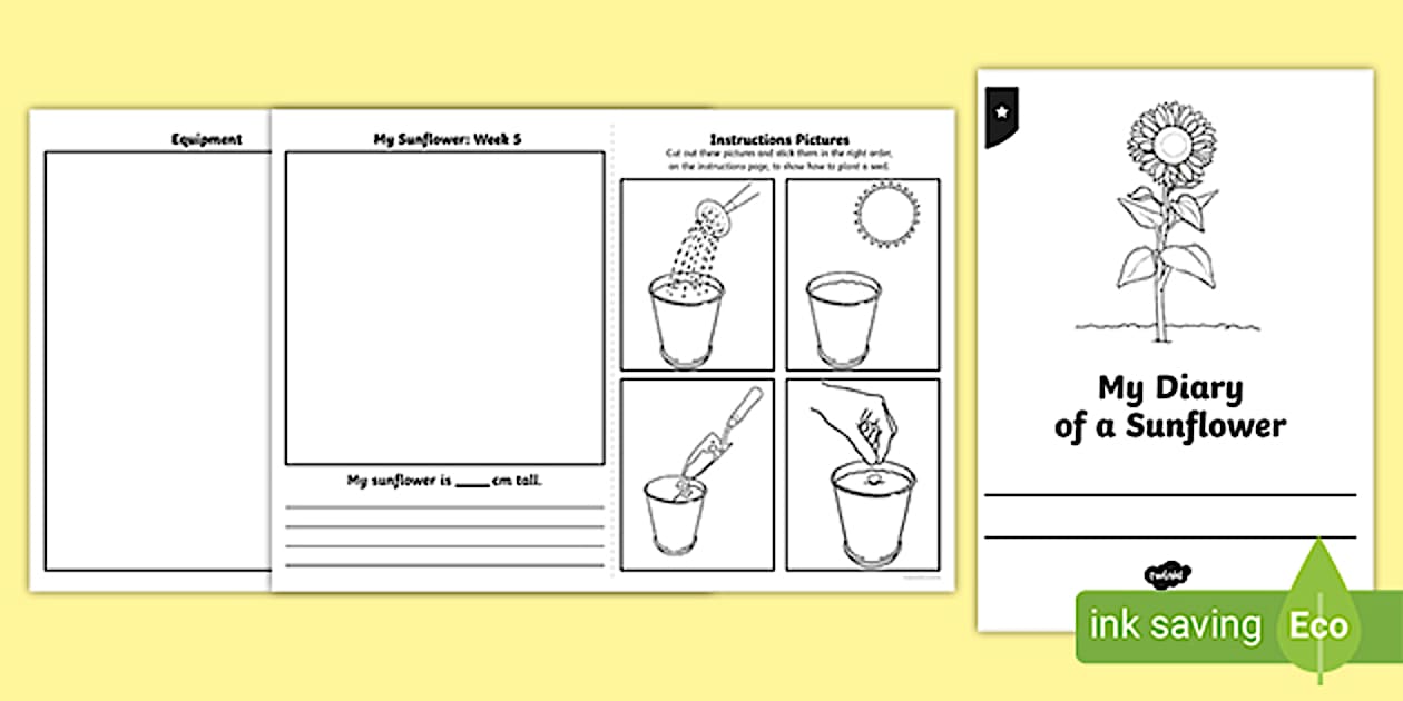 Editable My Diary of a Sunflower Booklet Template - Twinkl
