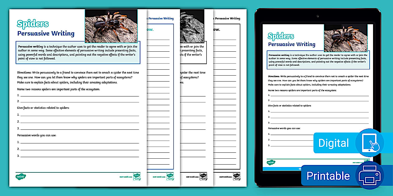 Third Grade Spiders Persuasive Writing Worksheet