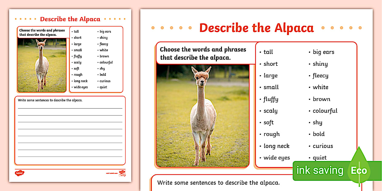 Describe the Alpaca Writing Activity,alpaca