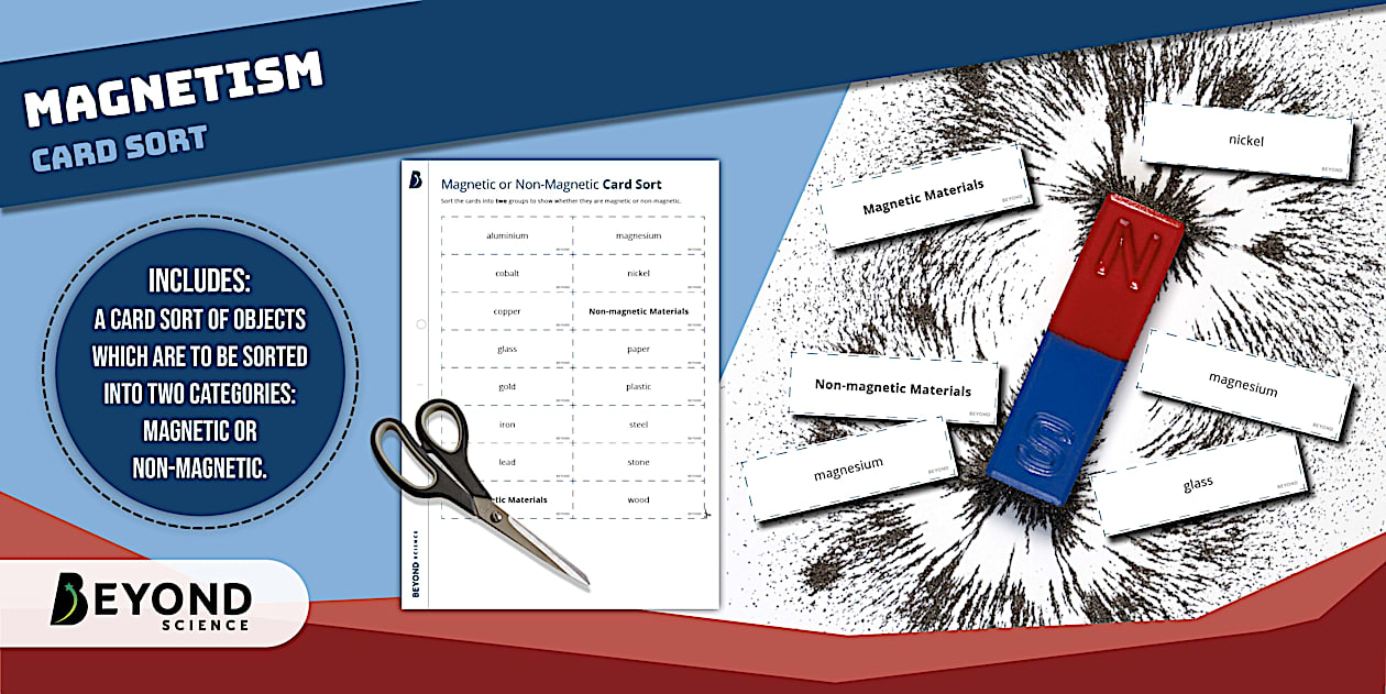 Magnetism Card Sort | KS3 Physics | Beyond Science
