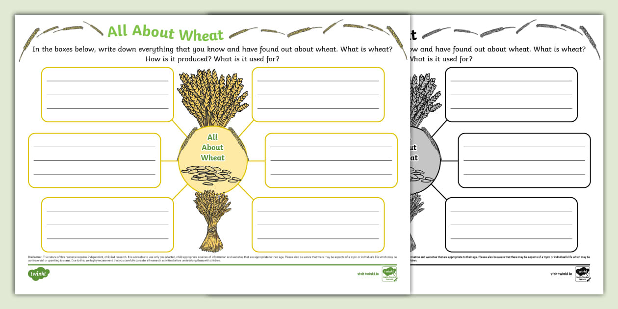 All About Wheat Mind Map (teacher made) - Twinkl